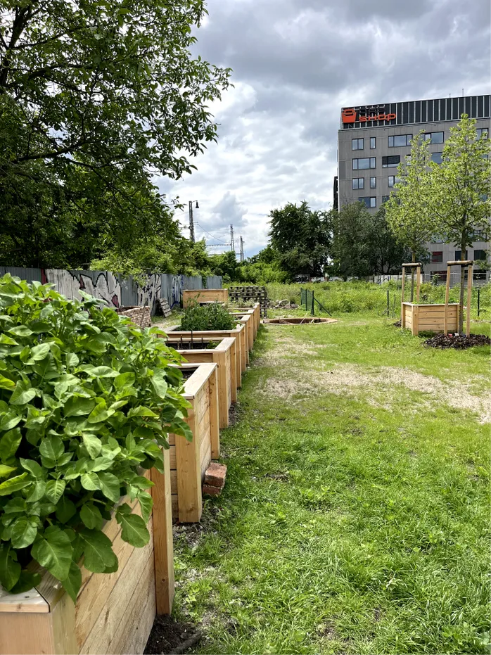 Čtvrť, která vás baví | Nová Zbrojovka